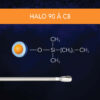 HALO® 90 Å C8 Reverse Phase Column | Small Molecule Solution